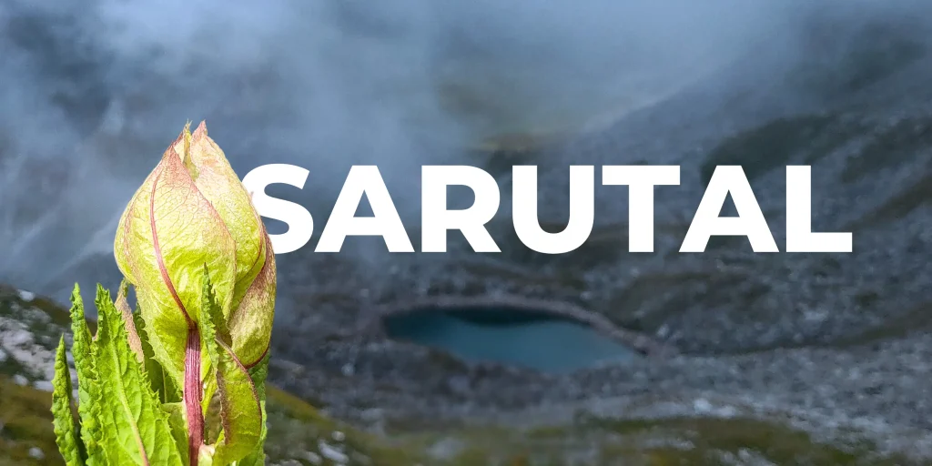 Sarutal Trek - Montaxe